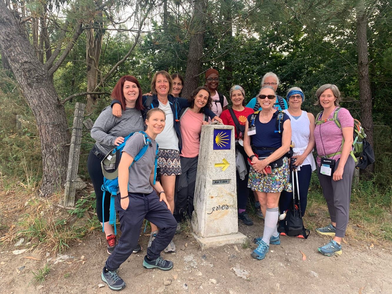 Walking Journey: The Camino de Santiago, Spain French Way in Santiago ...