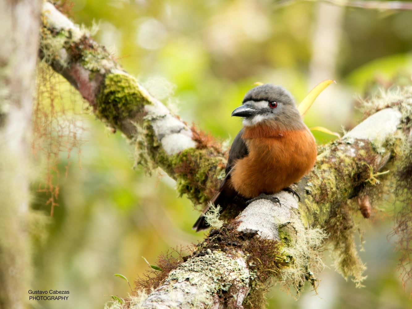Ecuador and Galapagos Wildlife Photography Expedition in Quito, Ecuador