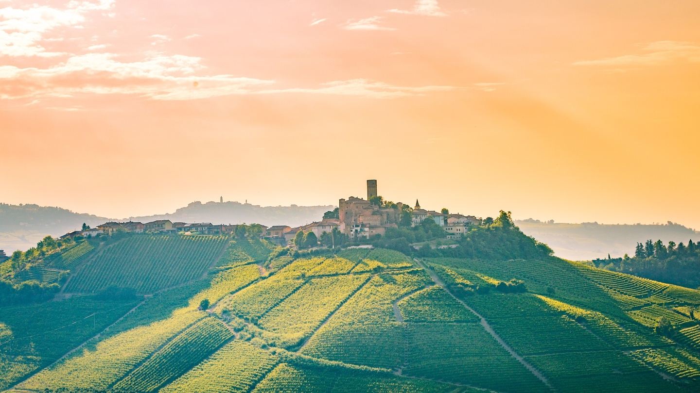 Piedmont Mini Bike Tour September 2024 in 12051 Alba, Province of Cuneo ...