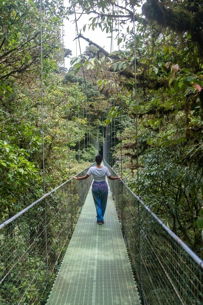 Hanging Bridges Monteverde in Hanging Bridges Monteverde