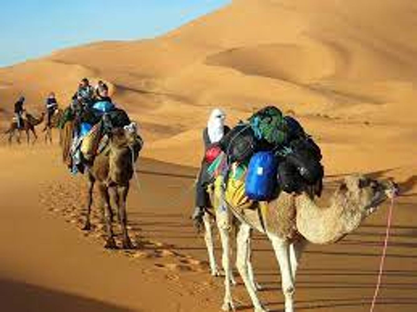 6 DAYS CAMEL TREKKING IN SAHARA DESERT in M'Hamid El Ghizlane, Maroc