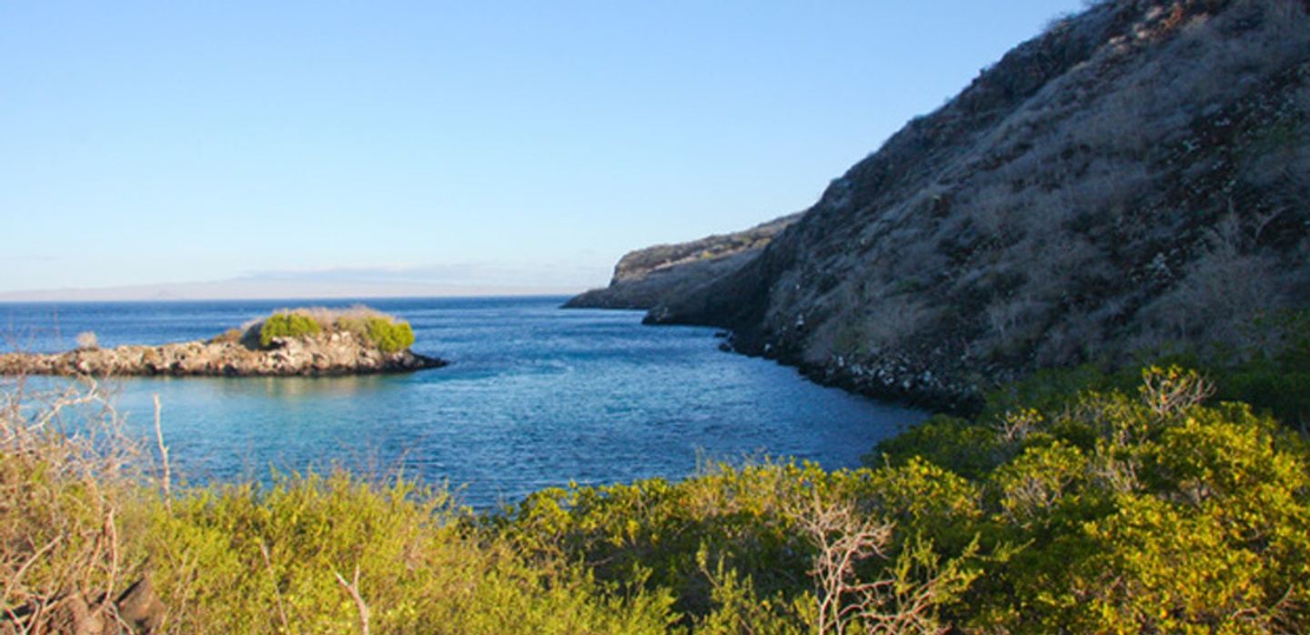 Daily tour Pinzon Island in Galapagos