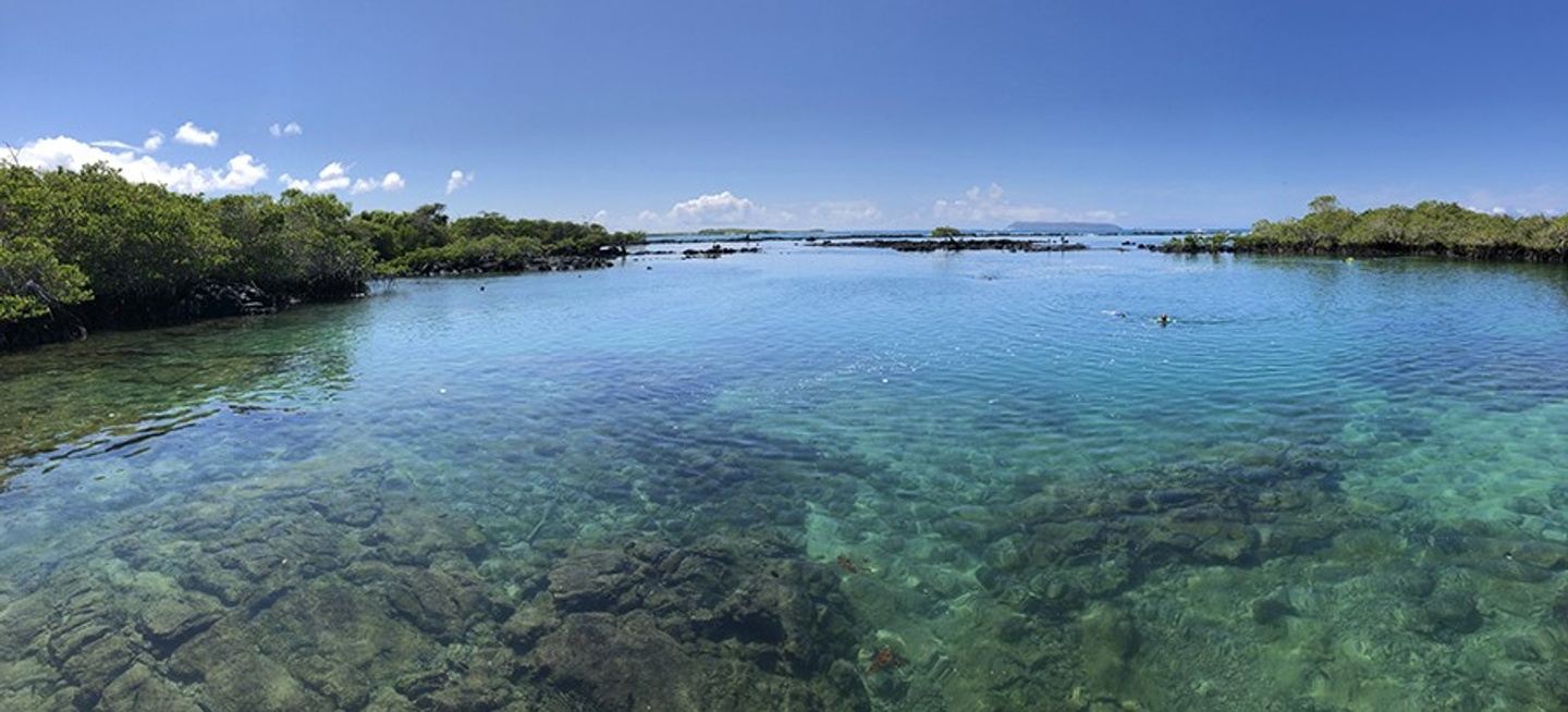 Daily tour Isabela Island and Concha y Perla in Galapagos
