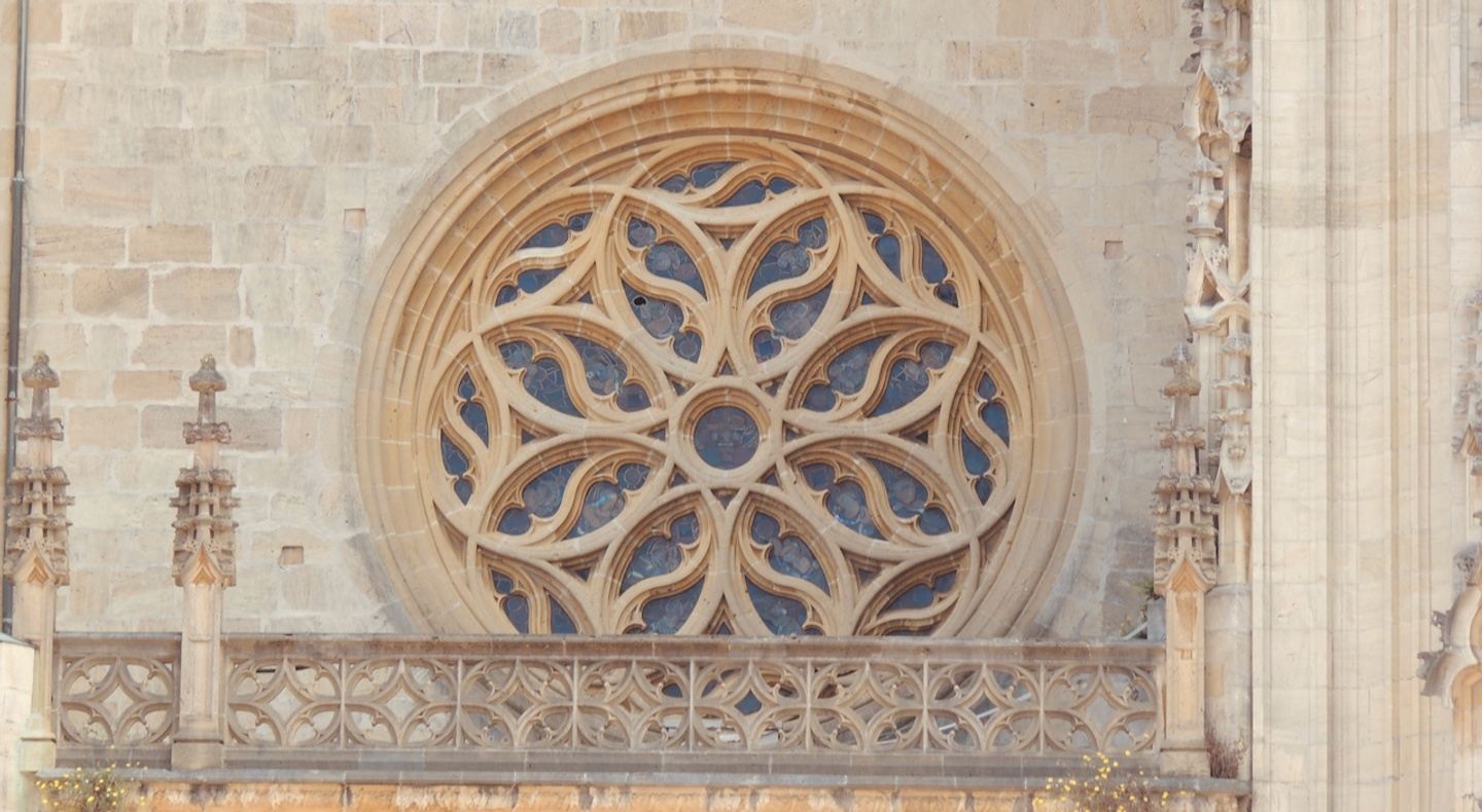 Profound Patterns in Flores del Camino