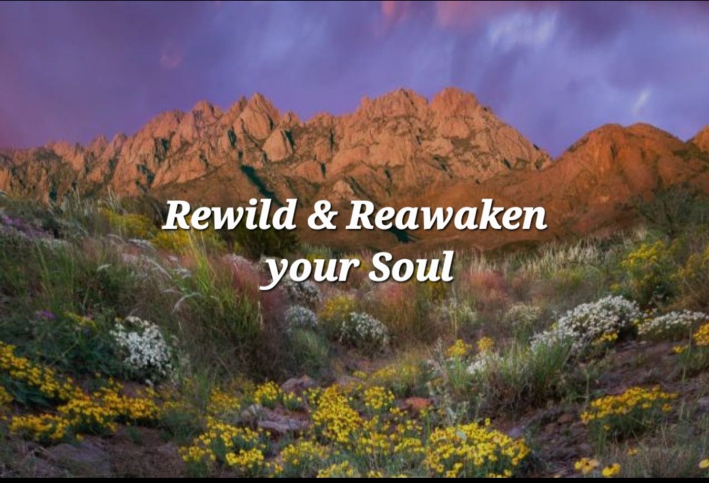 Southwest Rewilding and Reawakening Women's Midlife Wisdom Retreat in ...