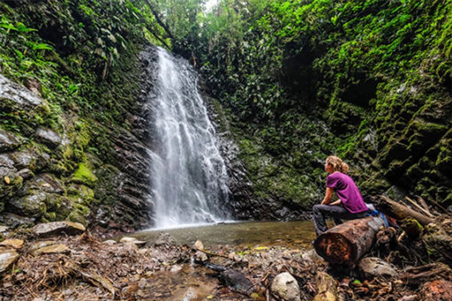 Day Tour Mindo in Mindo, Ecuador