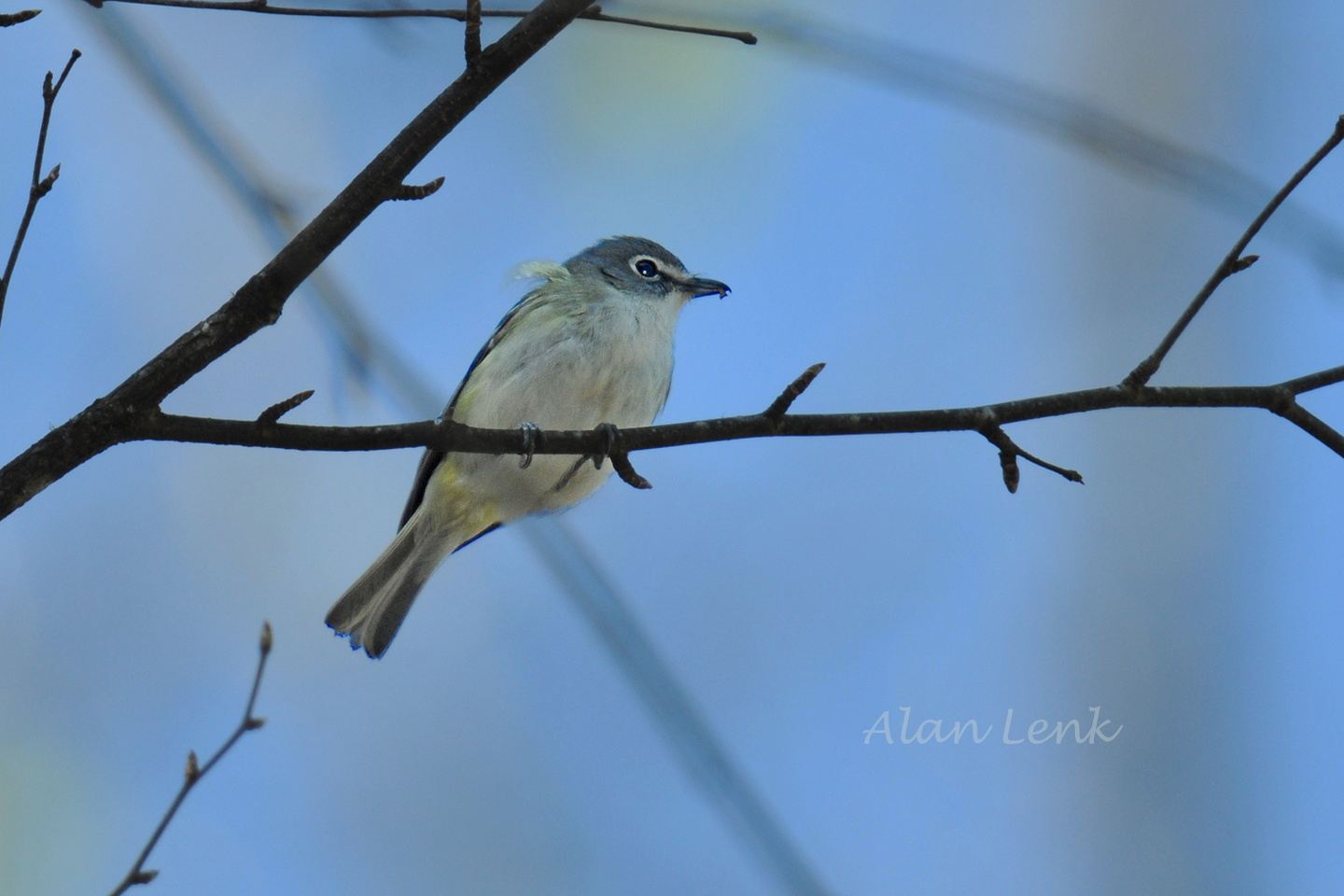 Kituwah Farm & Lake Junaluska, NC 2025 in Asheville, NC, USA