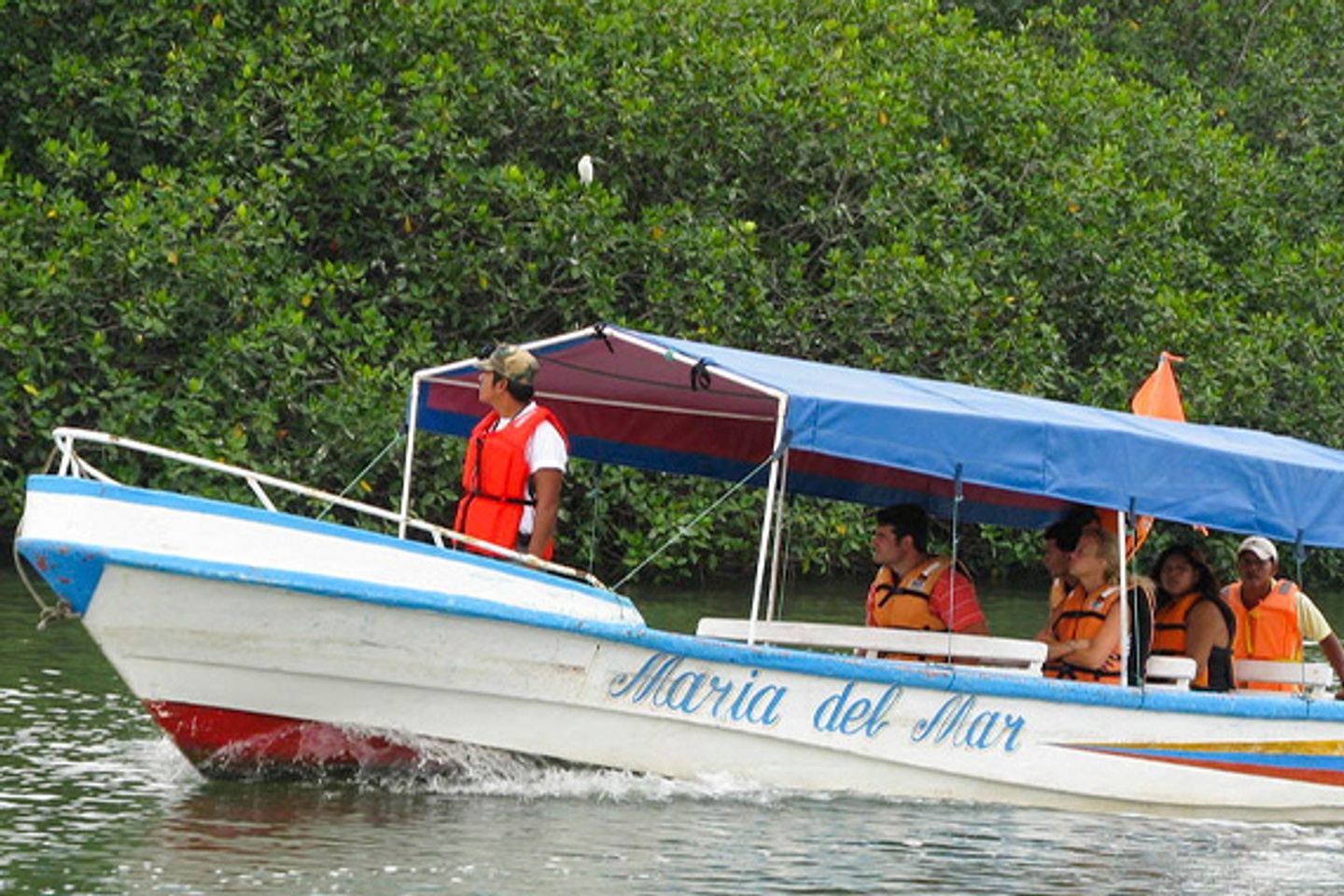 Day Tour Dolphin Watching – Puerto El Morro in El Morro, Ecuador