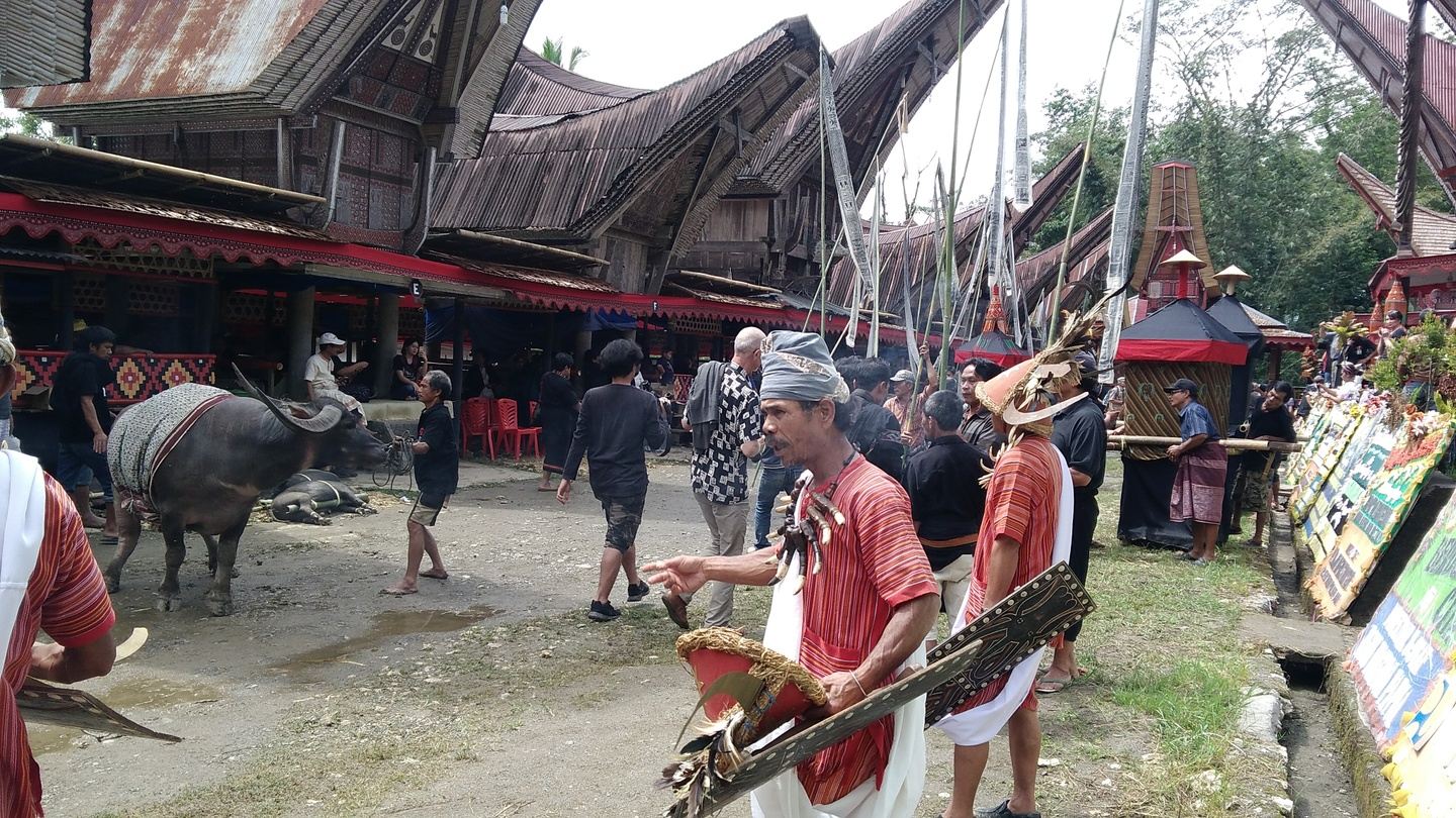 6 Days Cultural Tour and Trekking in Toraja with Private Tour Guide in ...