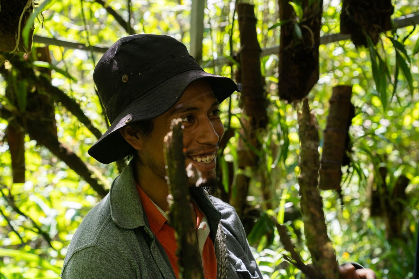 Myths and Waterfalls of the Sierra Mixe in Sierra Mixe Oaxaca