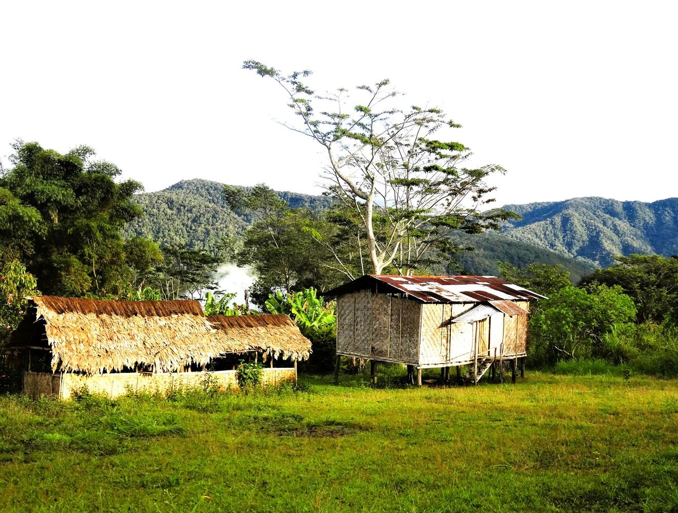 4-Day Immersive Trek Along the Kokoda Track in Kokoda Village