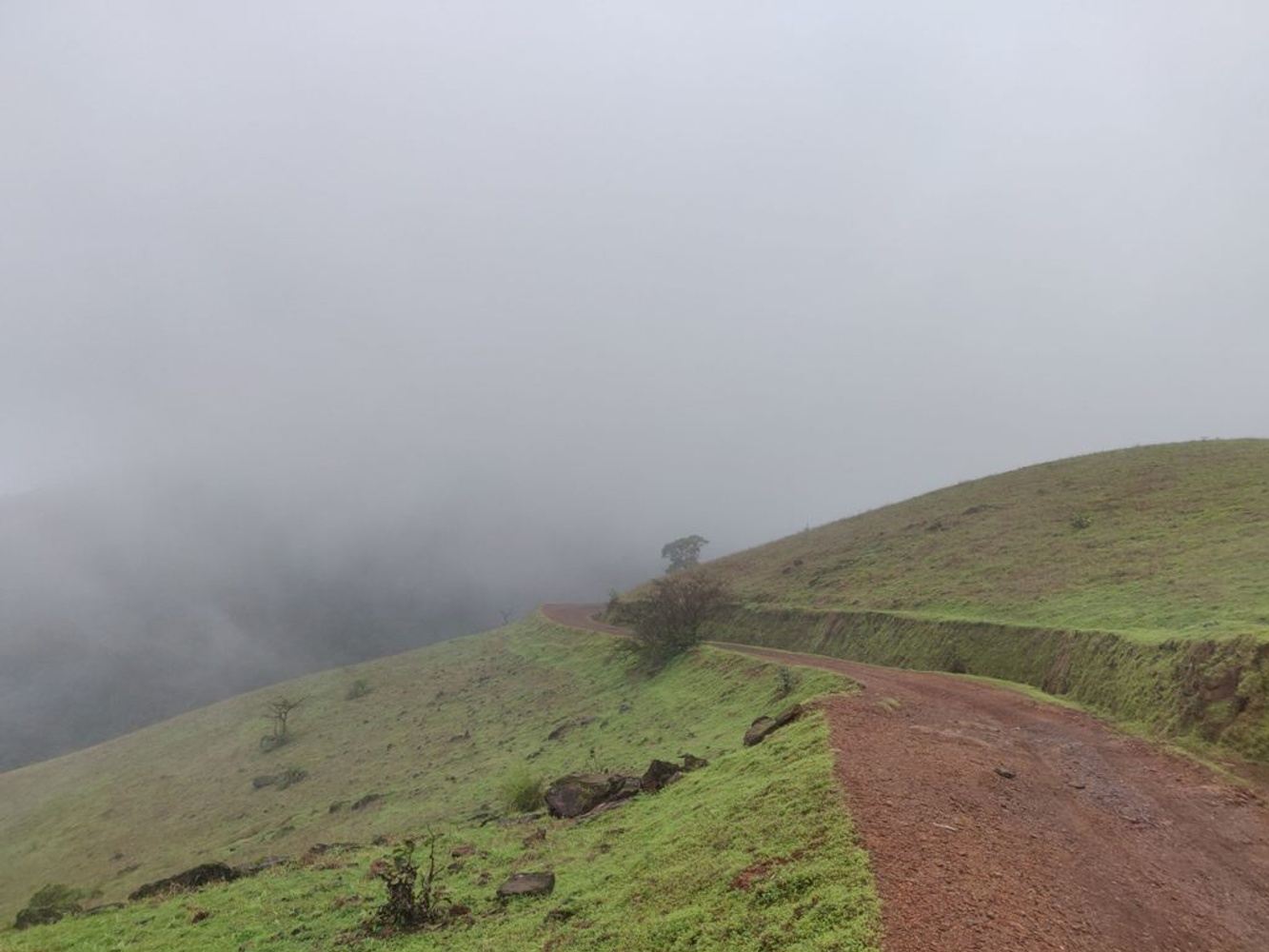 Kodachadri Trek in Kodachadri, Karnataka, India