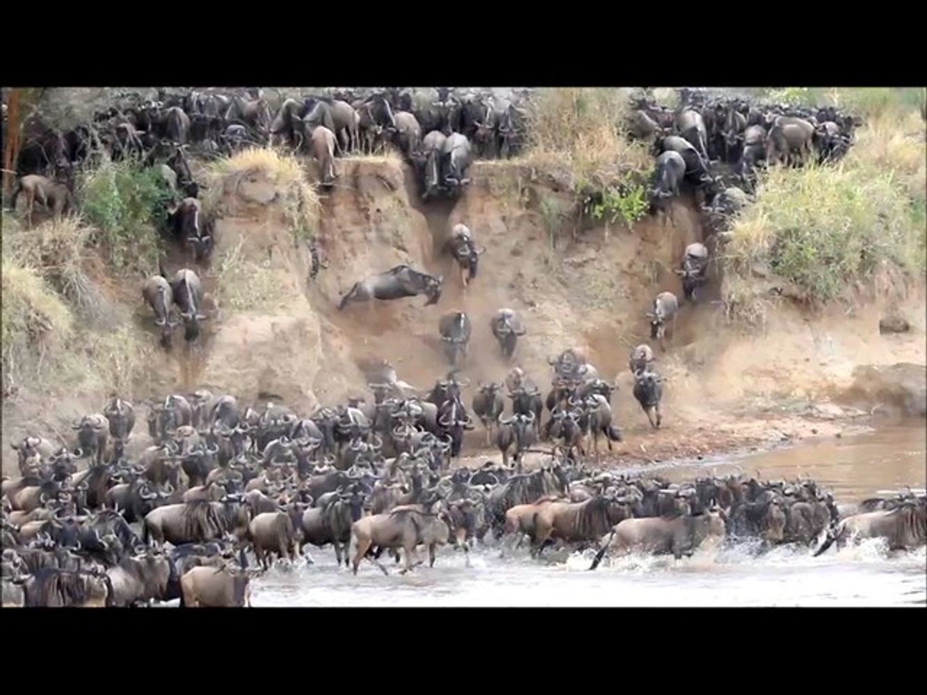 The Great Migration in Arusha, Tarangire, Serengeti National Parks and ...
