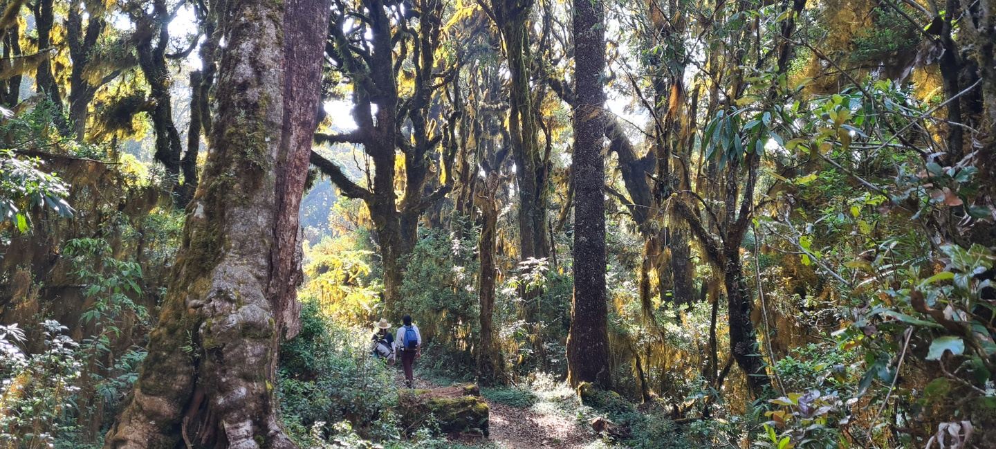 Sacred Sites of the Sierra Mixe in Sierra Mixe Oaxaca
