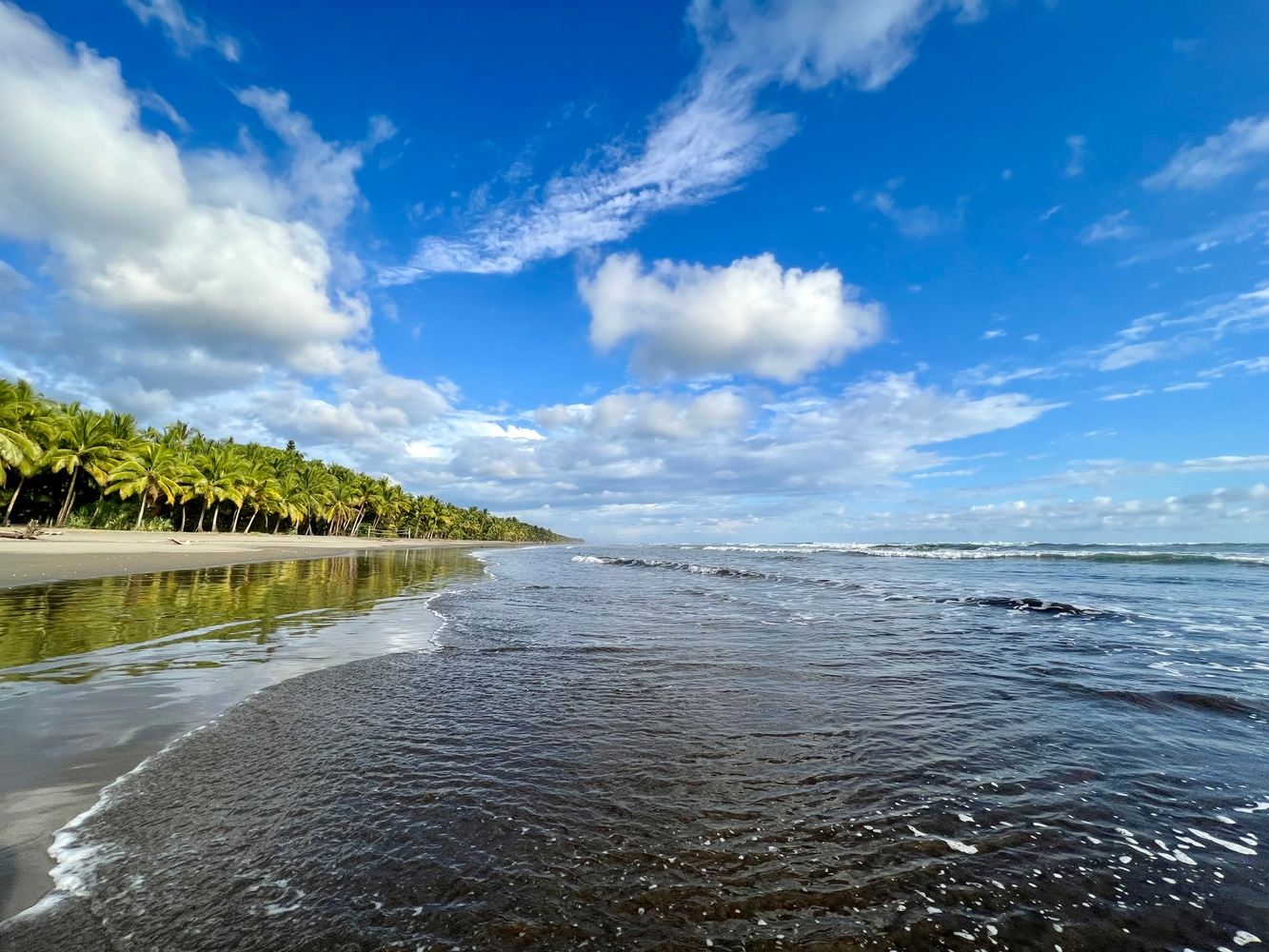 A Taste Of Costa Rica!!! March 2025 in Puntarenas Province, Esterillos ...