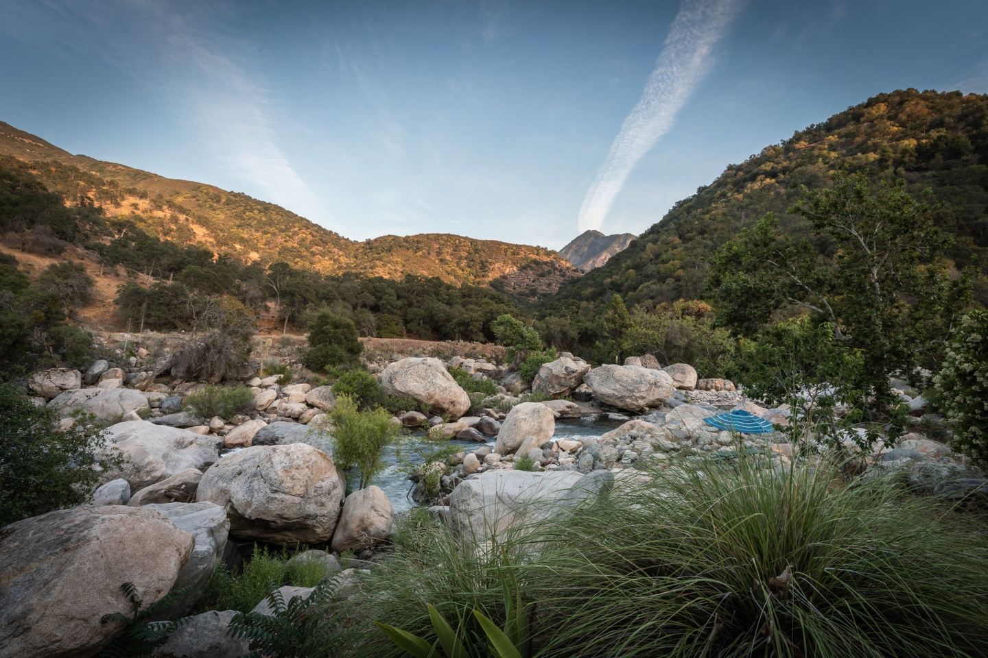 Sequoia in Three Rivers, CA 93271, USA