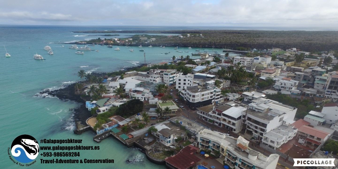 HALF DAY TOUR AROUND SANTA CRUZ BAY in Academy bay - Santa Cruz