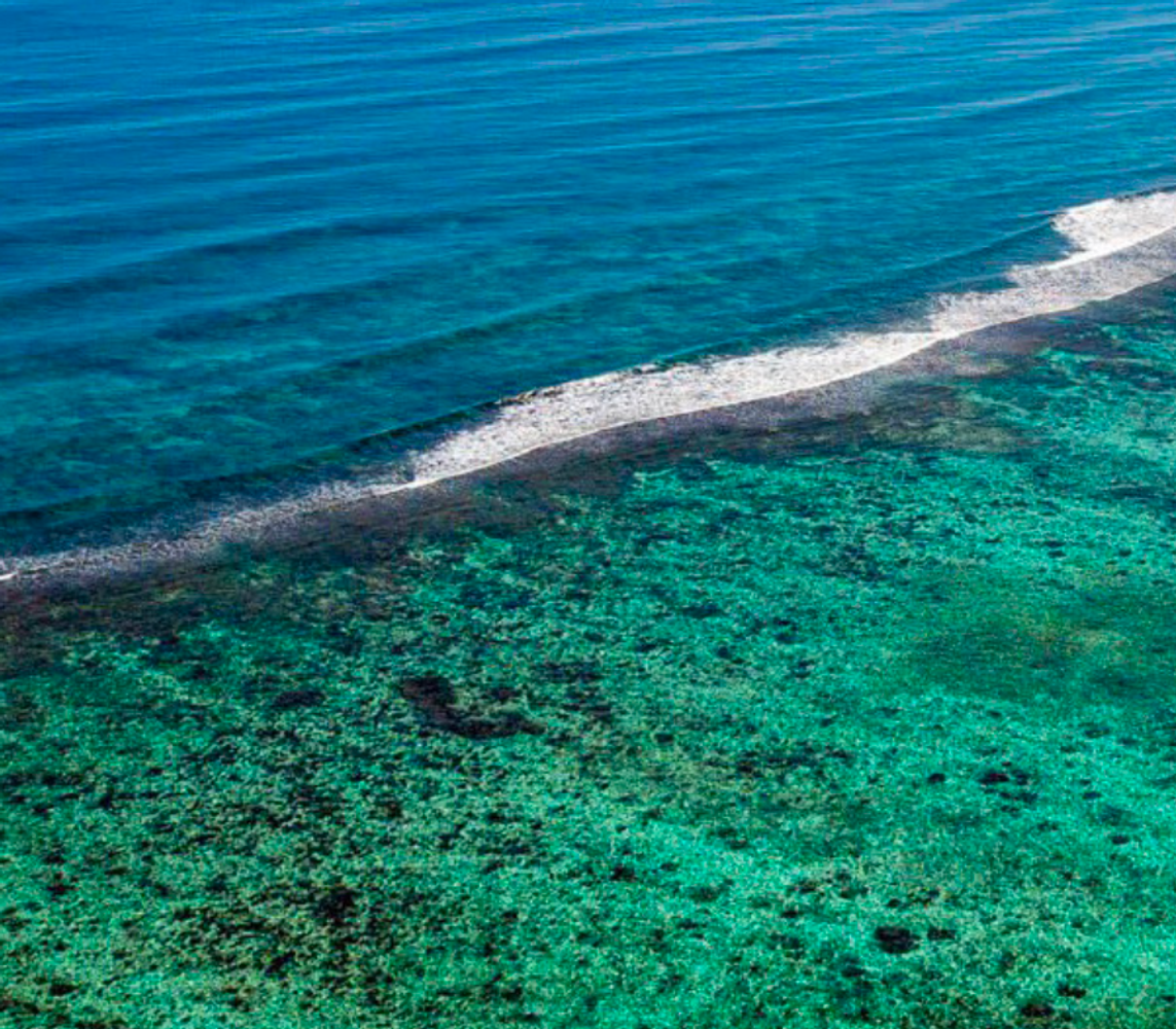 Punta Allen (boat tour & Snorkeling) in Punta Allen, Quintana Roo, Mexico