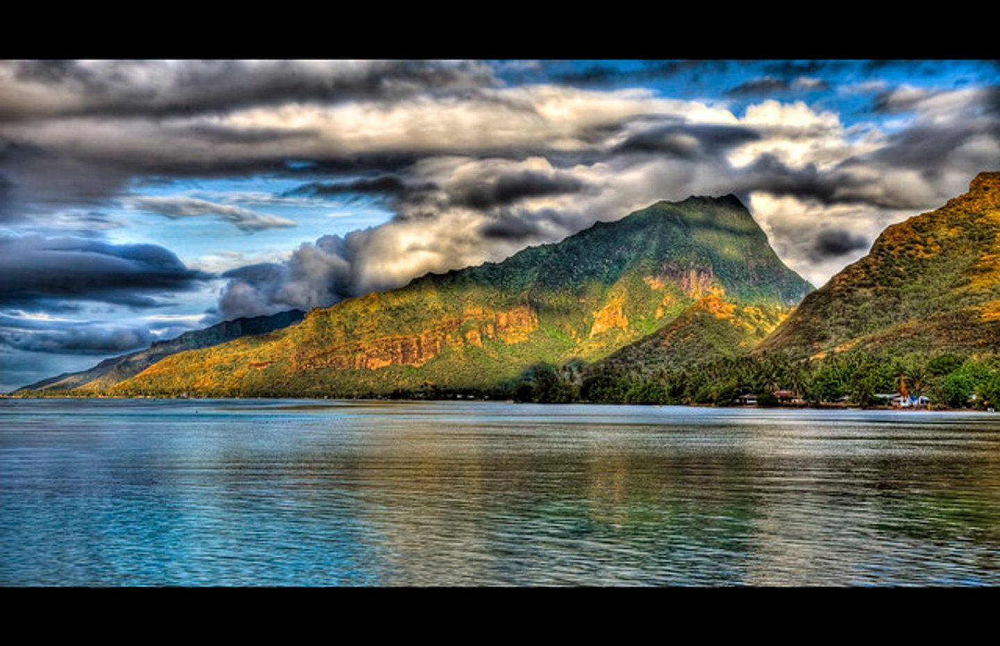 FRENCH POLYNESIA 2023 WHALE EXPEDITION in Moorea-Maiao, French Polynesia