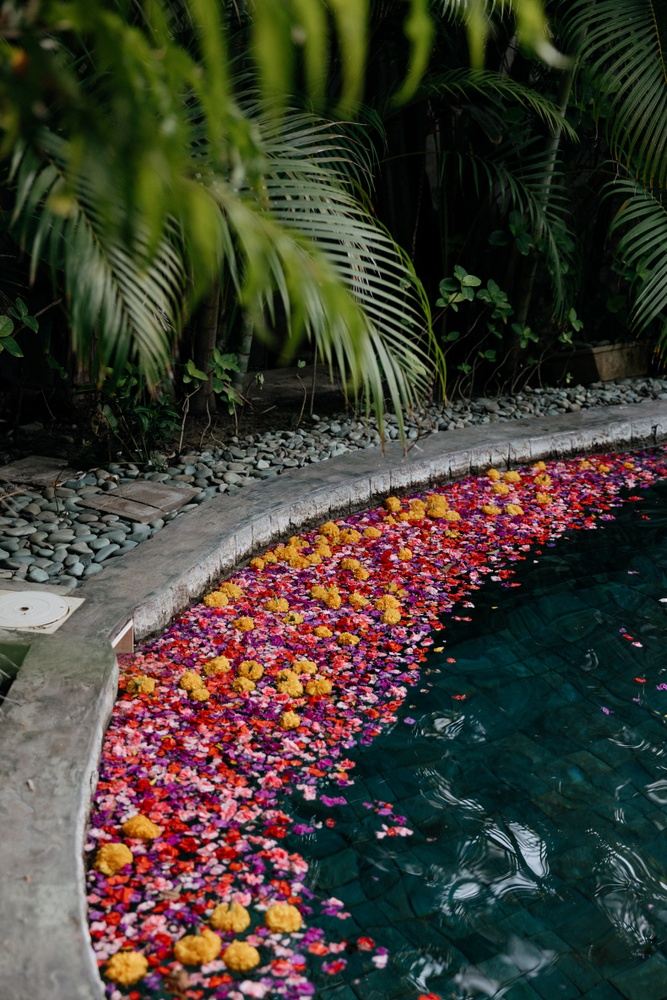 Bali Retreat "Ethereal Flow" with Sasha Meow & Tia Jax (2ND WEEK) in ...