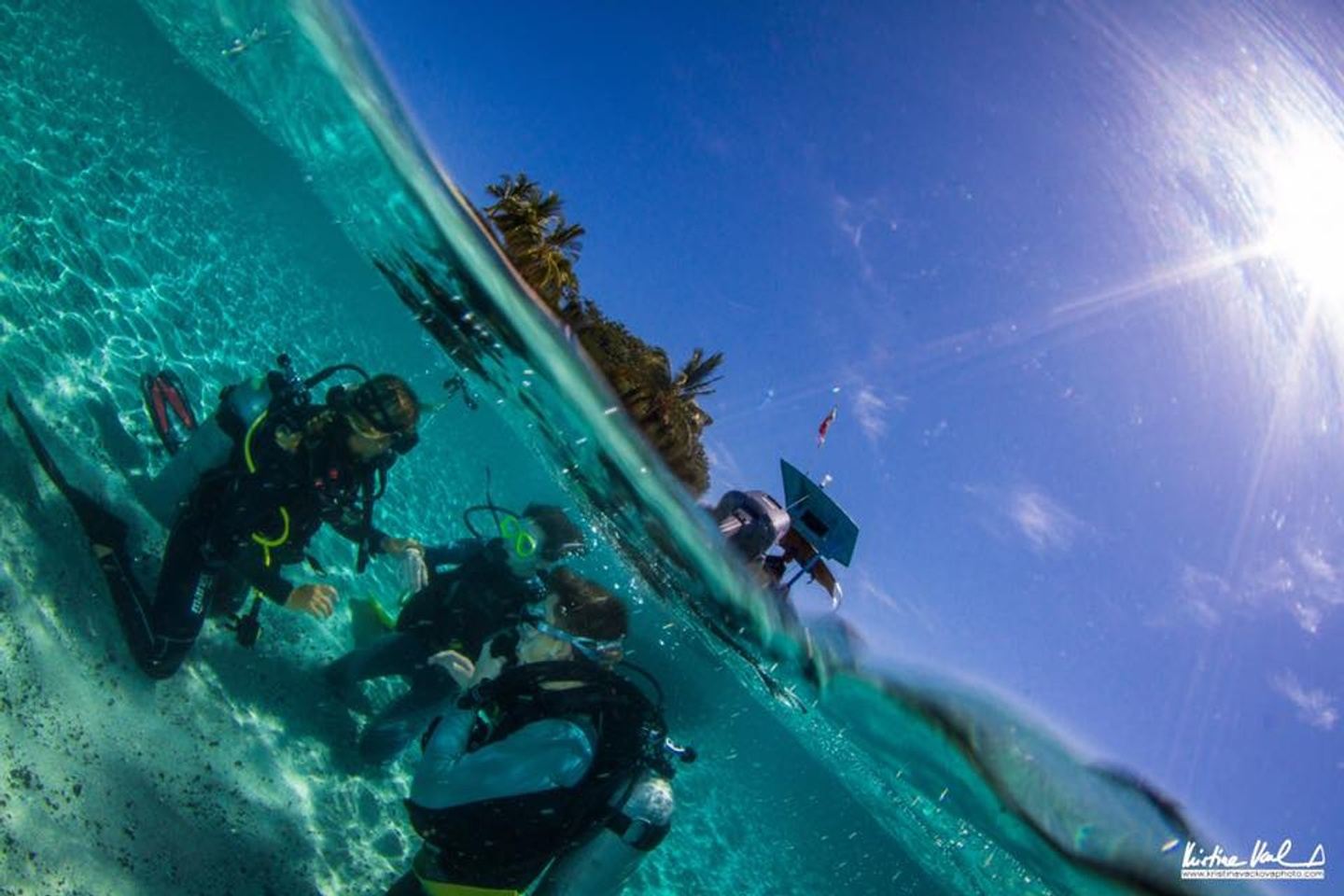 Discover Scuba Coiba (Trial Dive for not certified divers) in Santa ...