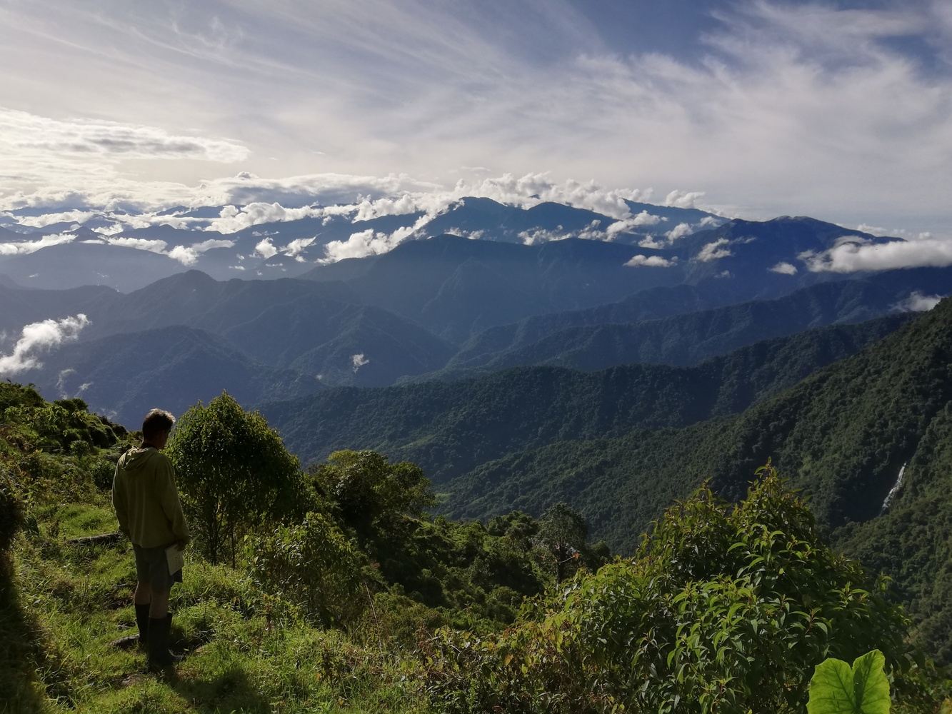 4 days - Birding + Trekking (Sierra Nevada de Santa Marta) in Santa ...
