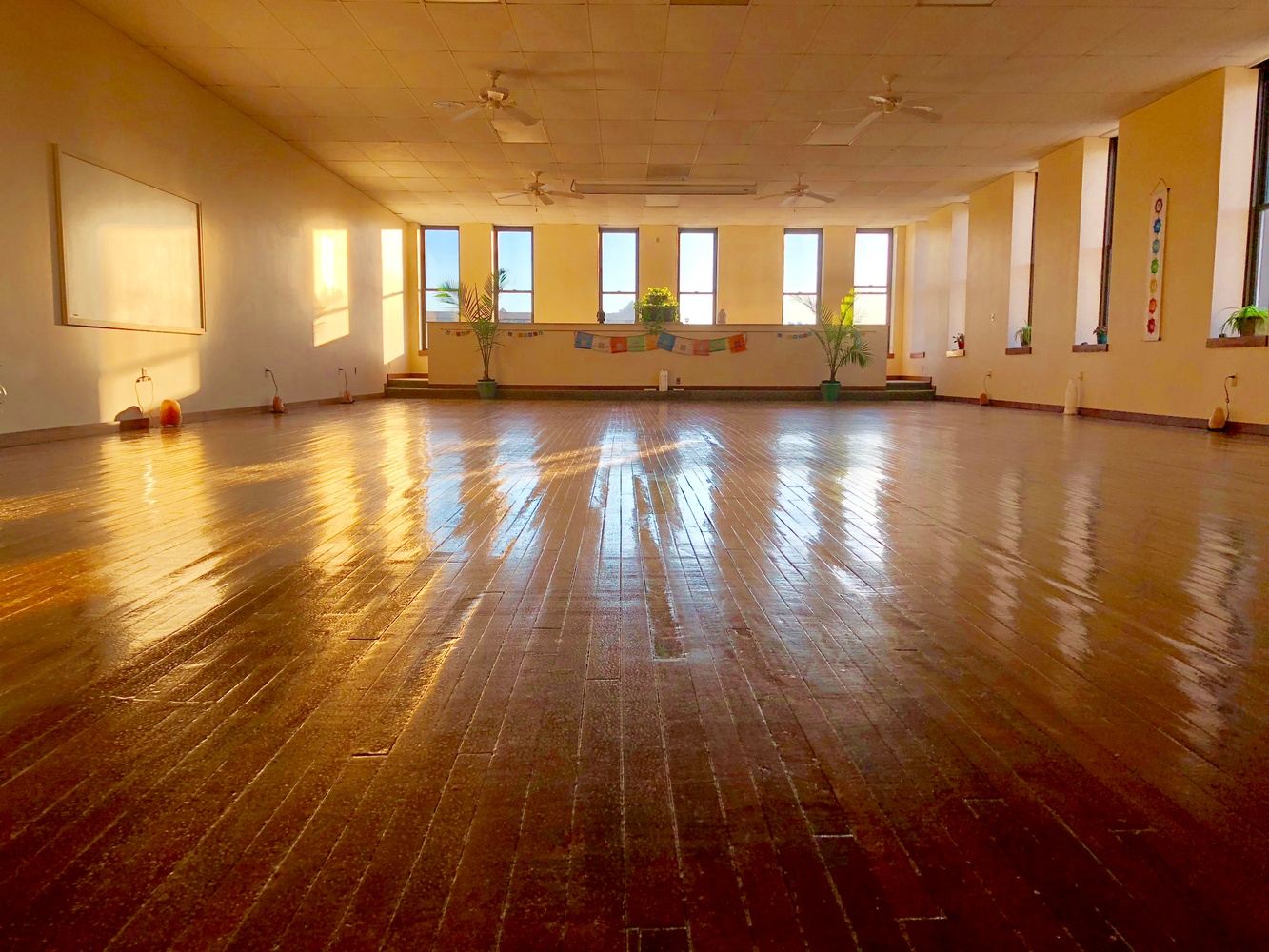 Erie - Satya Yoga Teacher Training in Erie, PA, USA