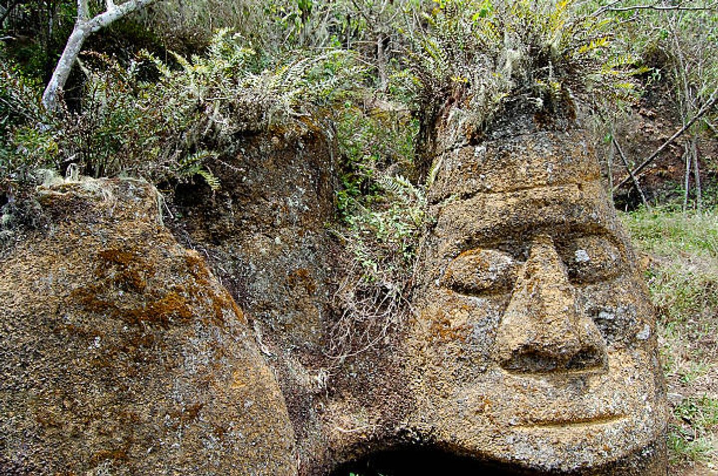 Daily tour Floreana Highlands in Galapagos