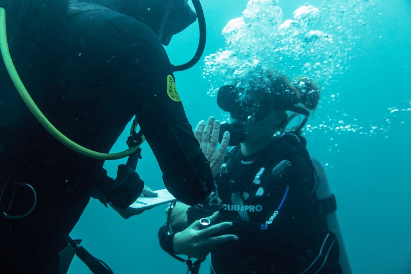 PADI Advanced Open Water Diver Certification in cabo san lucas, mexico