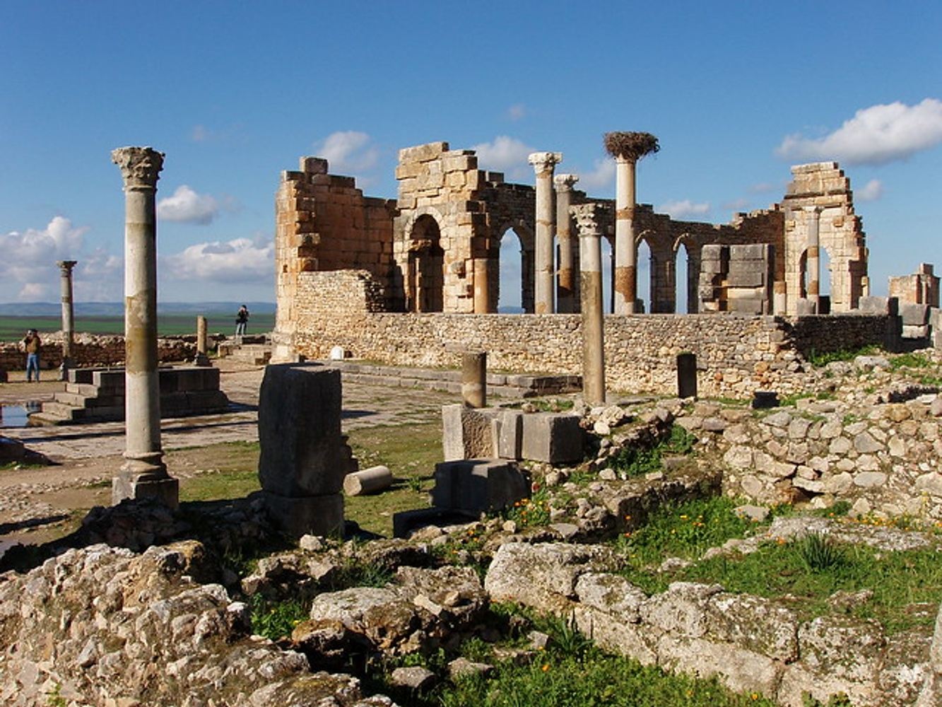 Volubilis, Meknes & Moulay Idriss Day Trip in Fes, Morocco