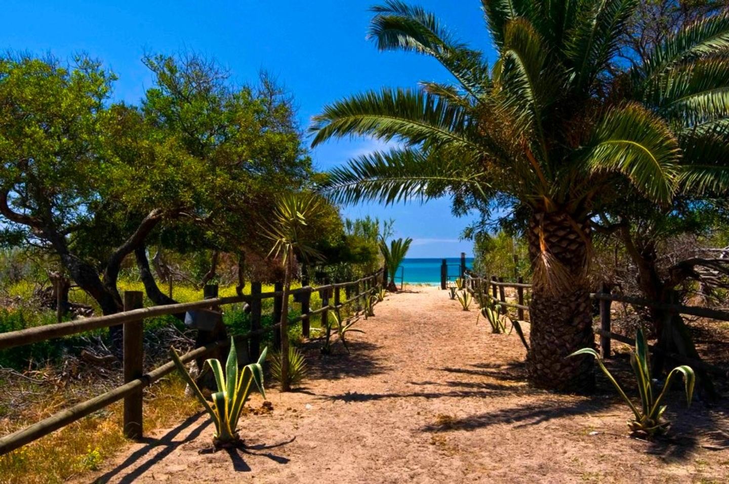 YOGA & WALKING RETREAT (OCTOBER 15) IN ZAHORA BEACH, CADIZ, SPAIN in ...