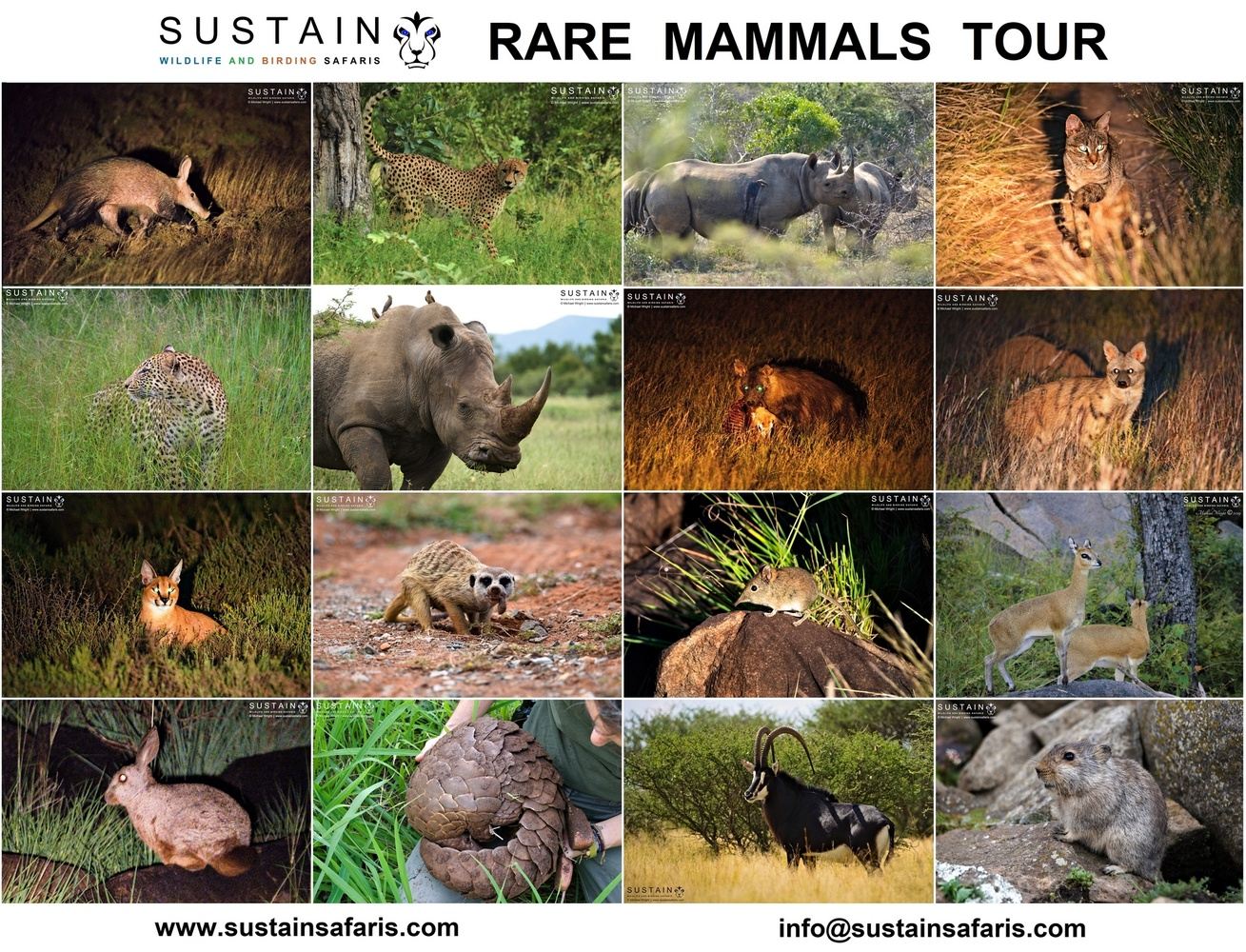 Rare Mammals of South Africa Tour - 10 Days in Kruger Park, South Africa