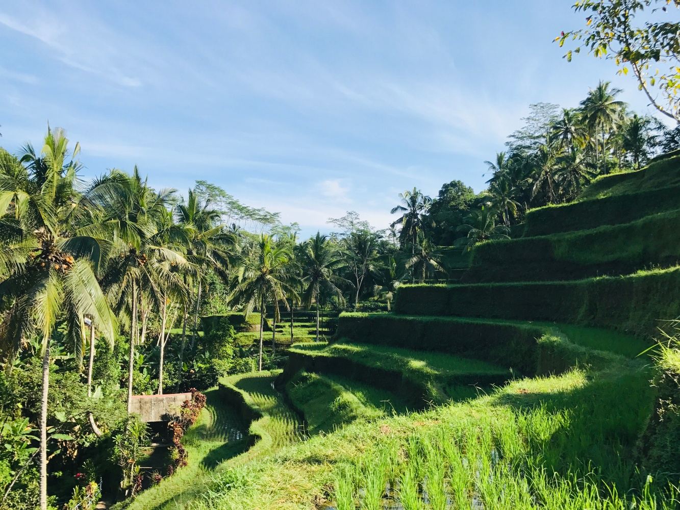 Lifestyle Reboot Retreat in Bali