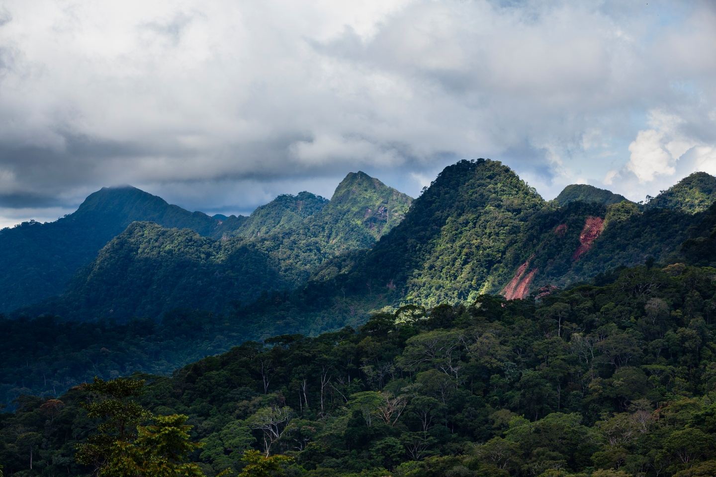 Bolivia: Tuichi River Chalalan Lodge - Madidi National Park - 7 days in ...