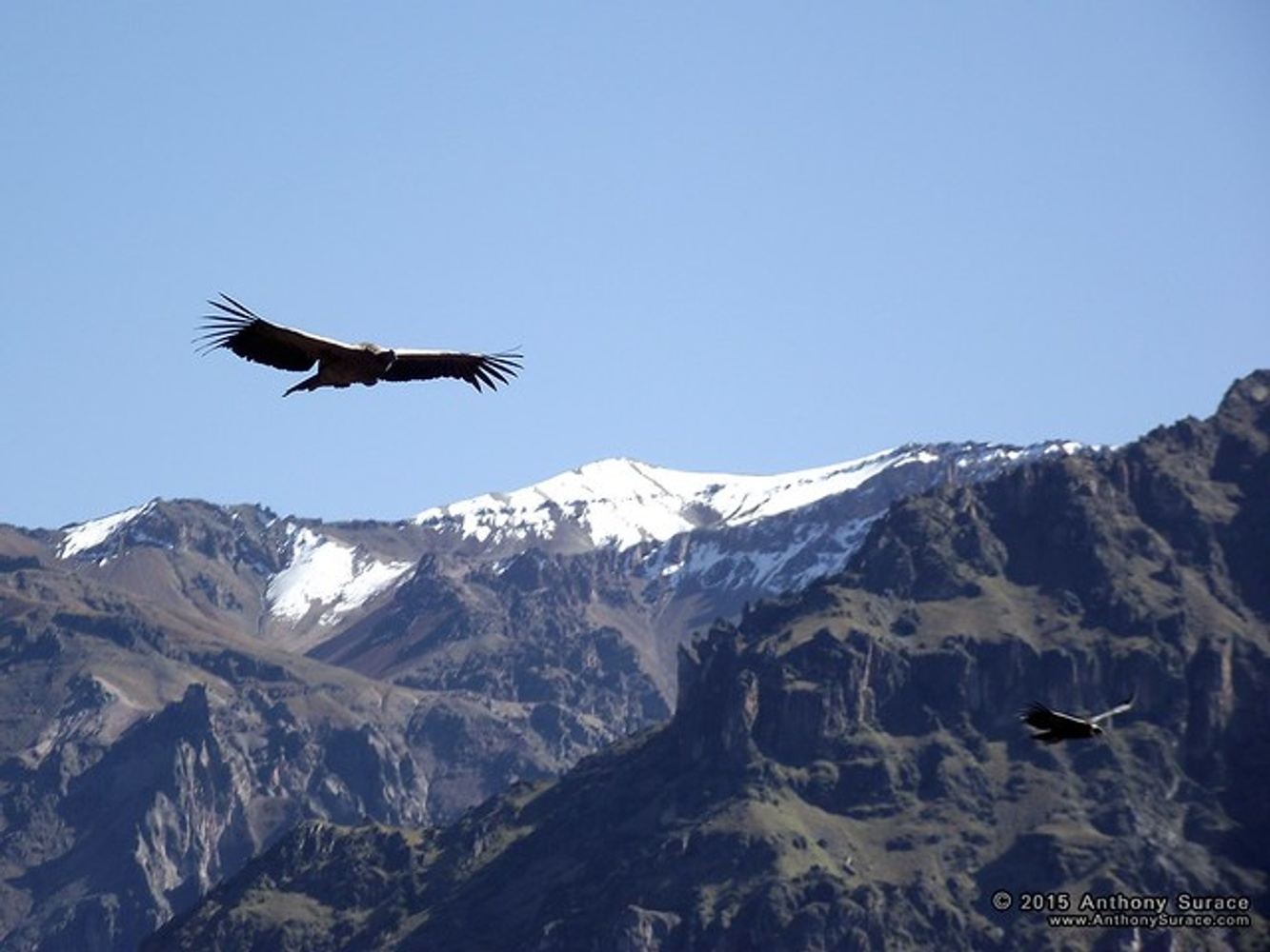 Trek Cañon del Colca 3d in Arequipa, Perú