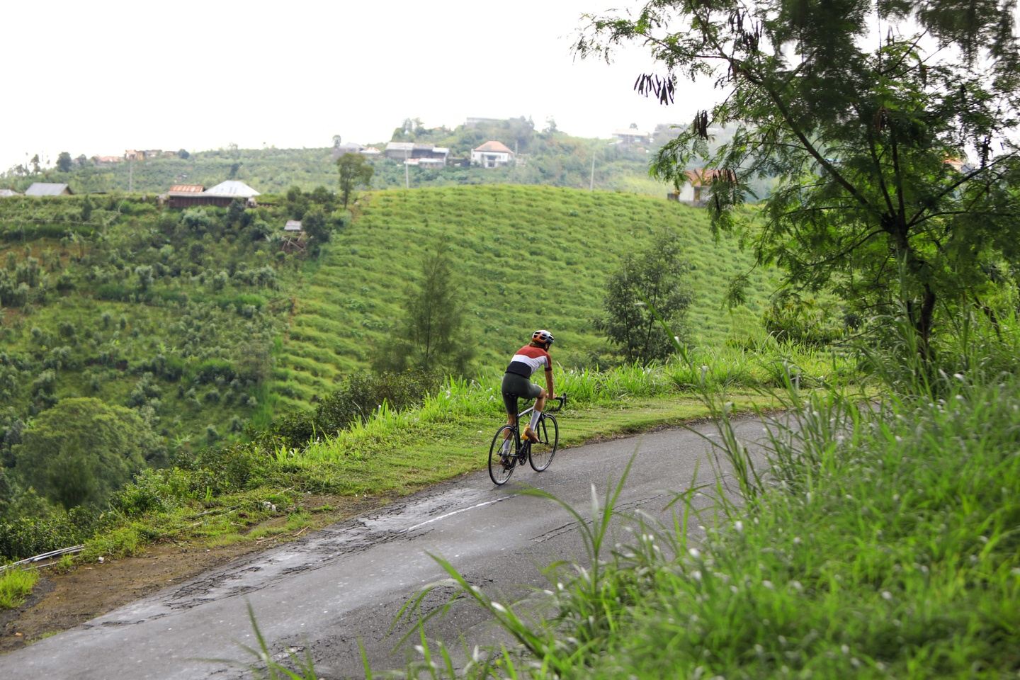 Pelaga Day Trip in Plaga, Pelaga, Badung Regency, Bali, Indonesia