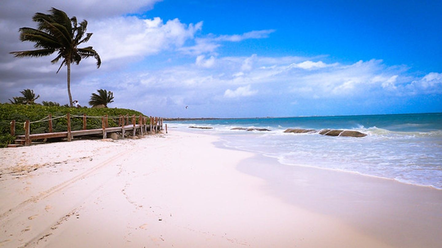 Transfer to Playa del Carmen from Merida in Playa del Carmen, Q.R., México
