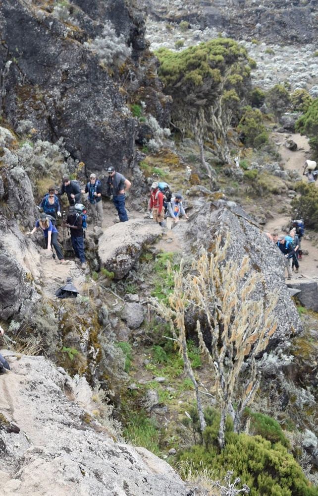 6 days Umbwe route Hiking Kilimanjaro in Moshi, Tanzania