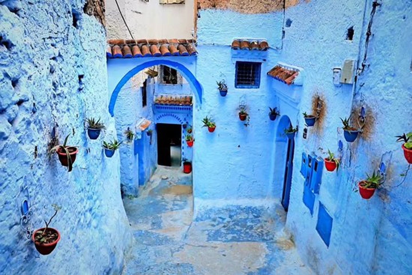 chefchaoun day trip in Chefchaouen, Maroc