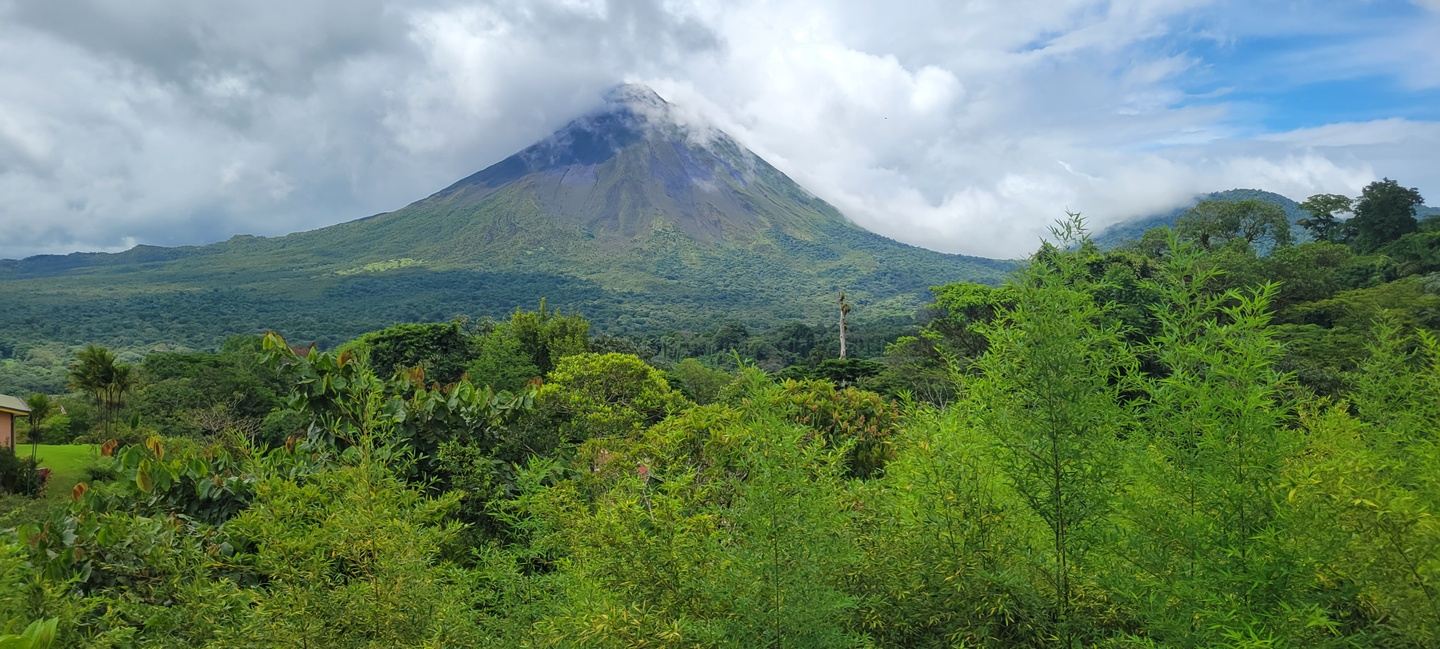 Costa Rica - 9-Days/8-Night Jungle & Ocean Bear Adventure in Alajuela ...