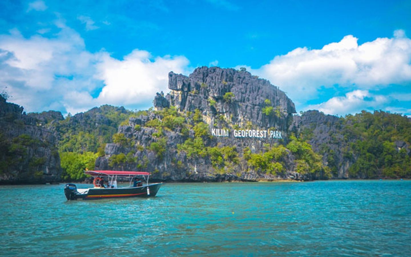 Private Langkawi Mangrove Tour with Tanjung Rhu Beach Visit in Langkawi ...