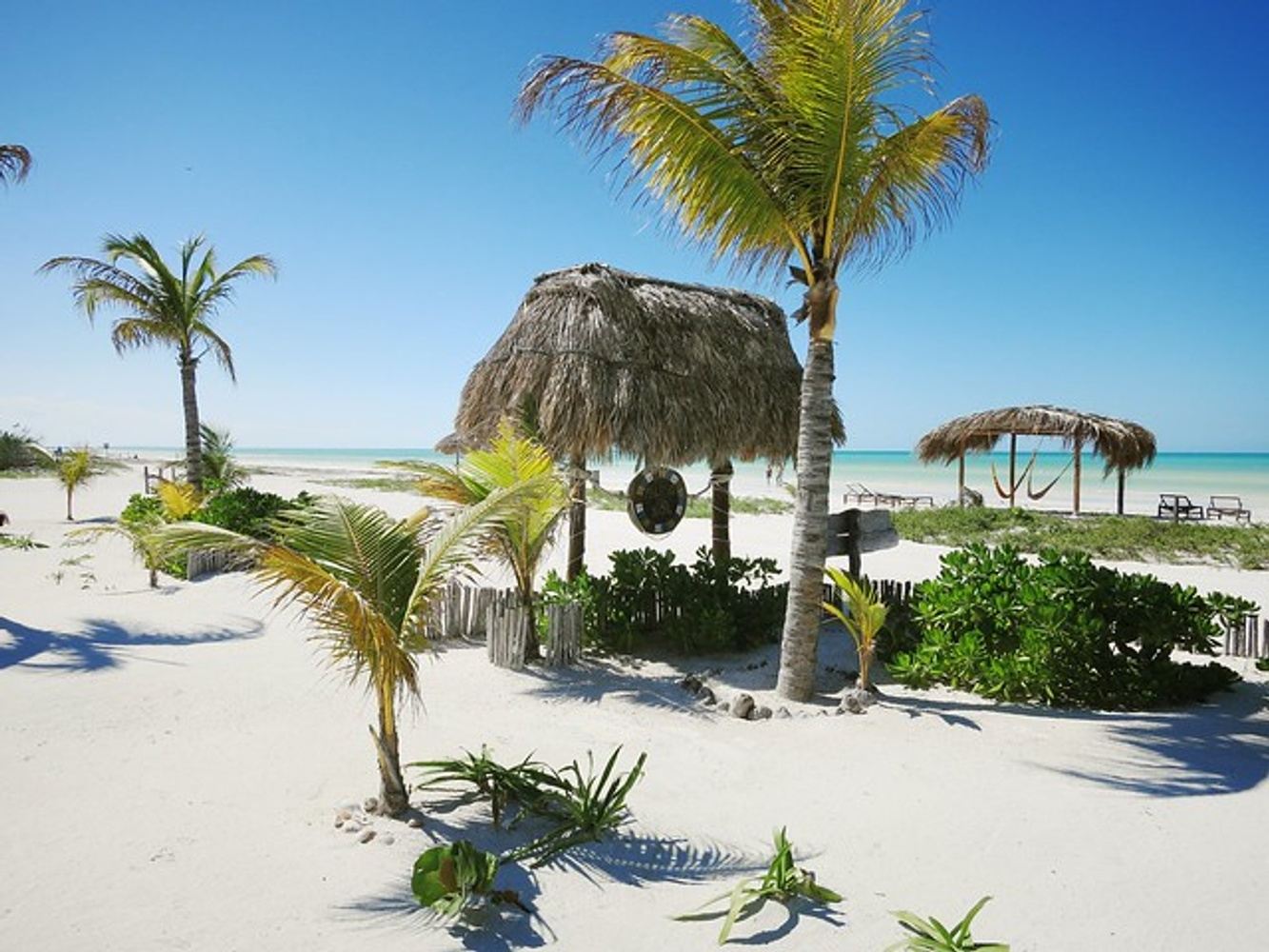 Tulum → Holbox Island (Ground transportation) in 77310 Holbox, Q.R., México