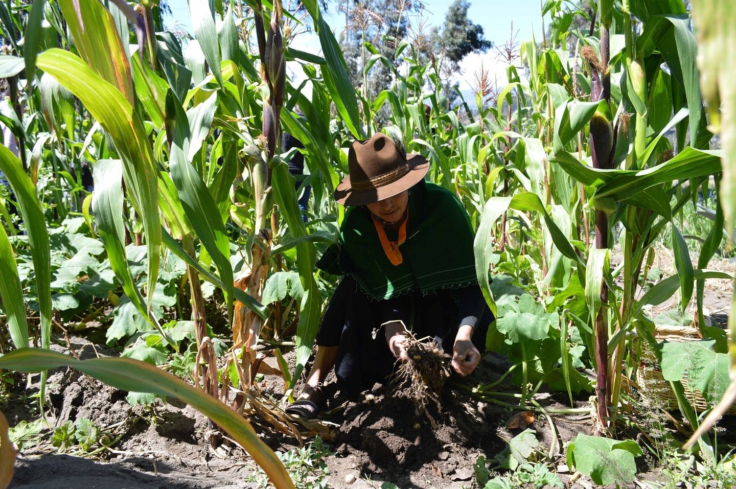 Discovering Salasakas Culture in Salasaca, Ecuador
