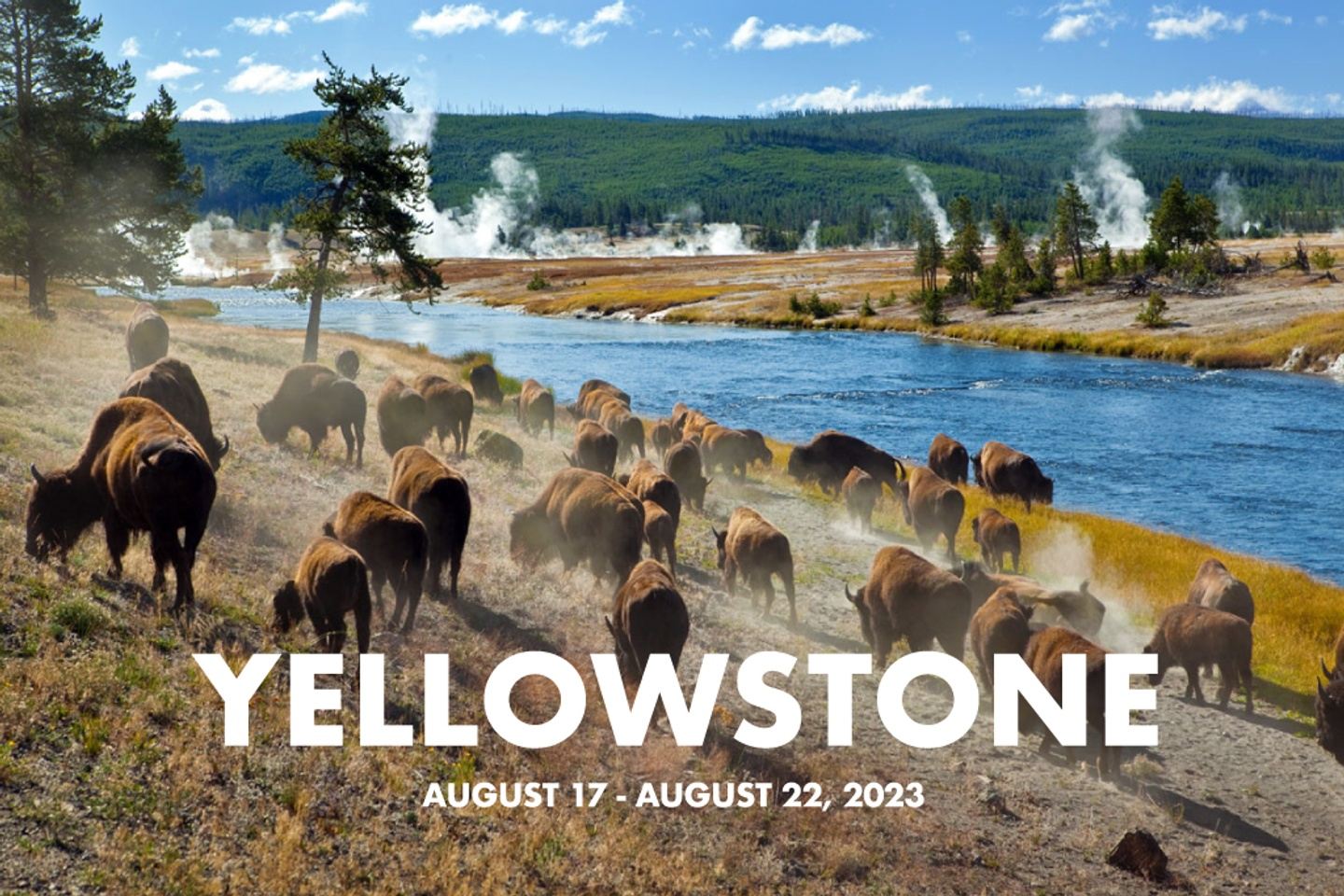 YELLOWSTONE ADVENTURE in Yellowstone National Park, WY 82190, USA