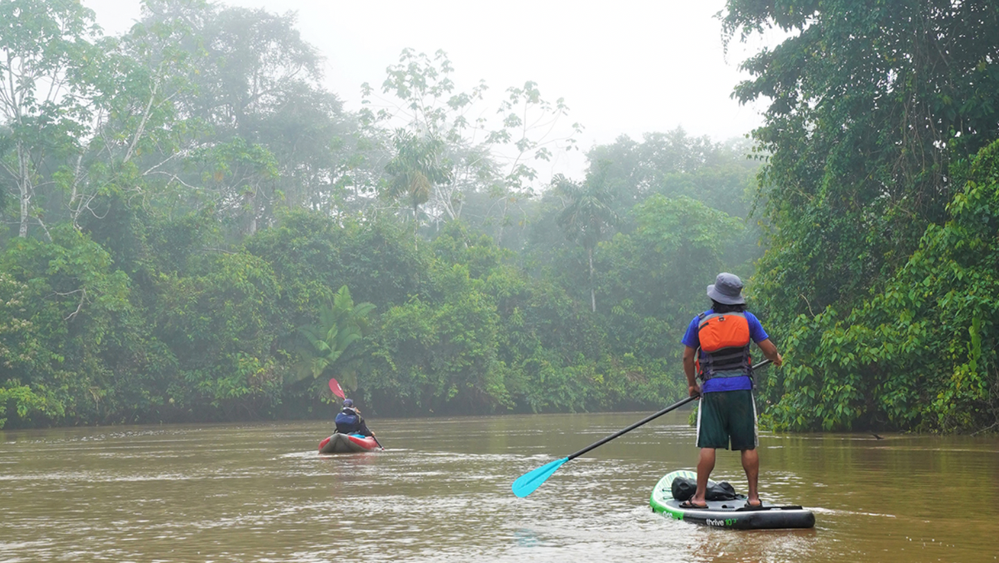 Amazon Kayak / Waorani Tribe 2 or more guests in Yasuní 16130, Ecuador
