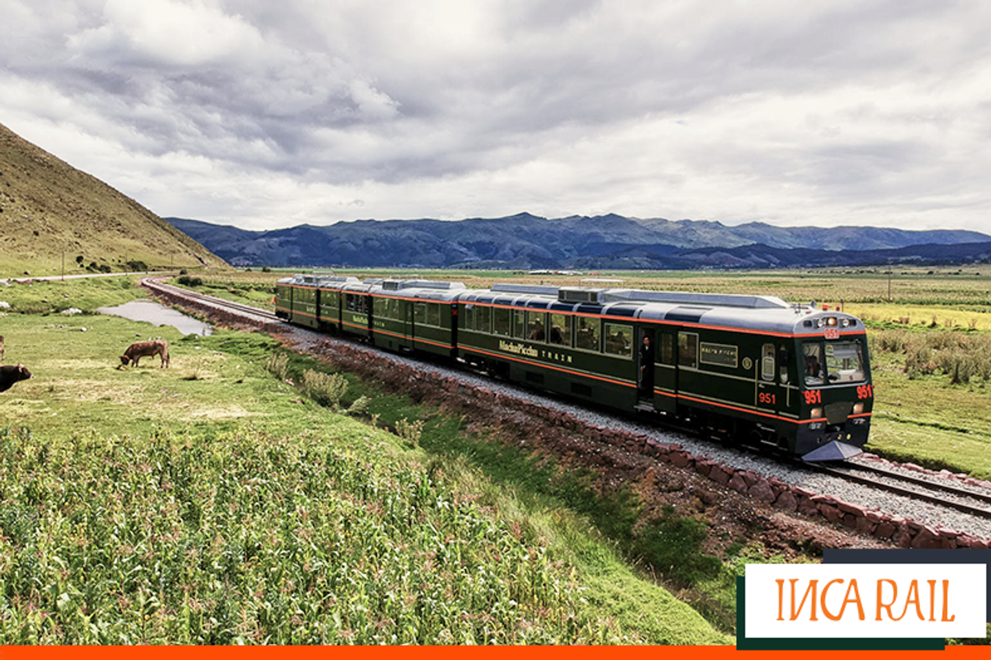 Payment Link for the Train from Aguas calientes to cusco in Cusco, Perú