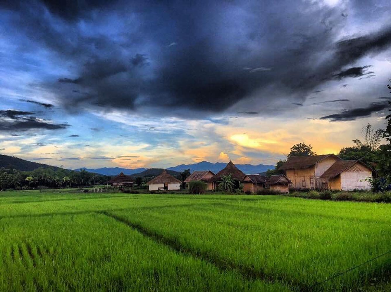 7-Day Transformation Retreat THAILAND July 2024 in Mae Pong, Doi Saket ...