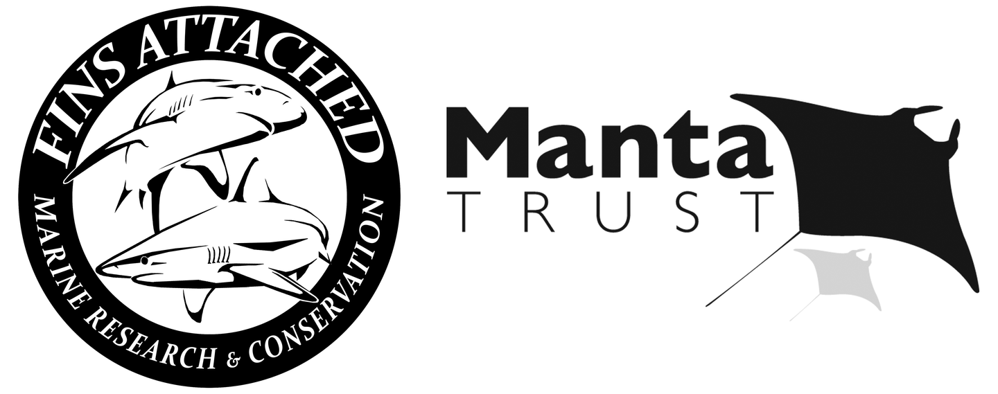 Fins Attached's WeTravel Profile