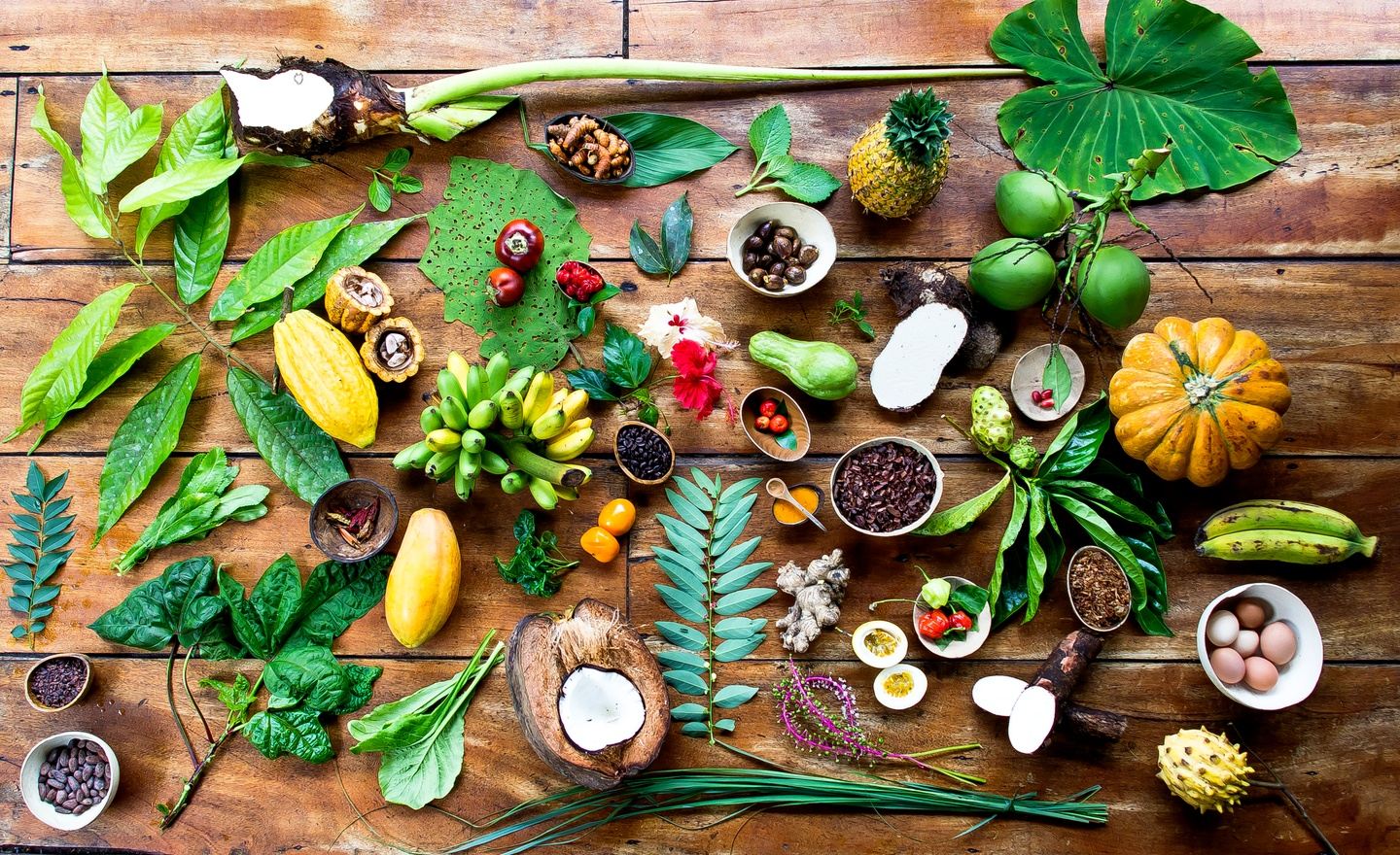 Native Spirit Caribbean & Cacao Farm Retreat in Bocas del Toro Province ...