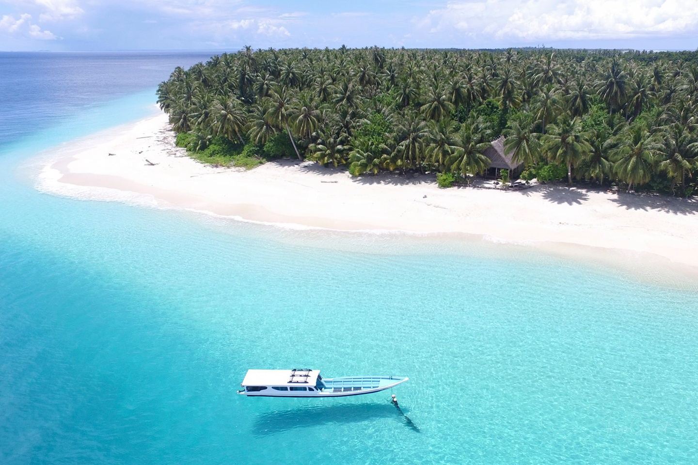 Botik Resort Mentawai - JUN 19 to 30 in Botik Resort Mentawai